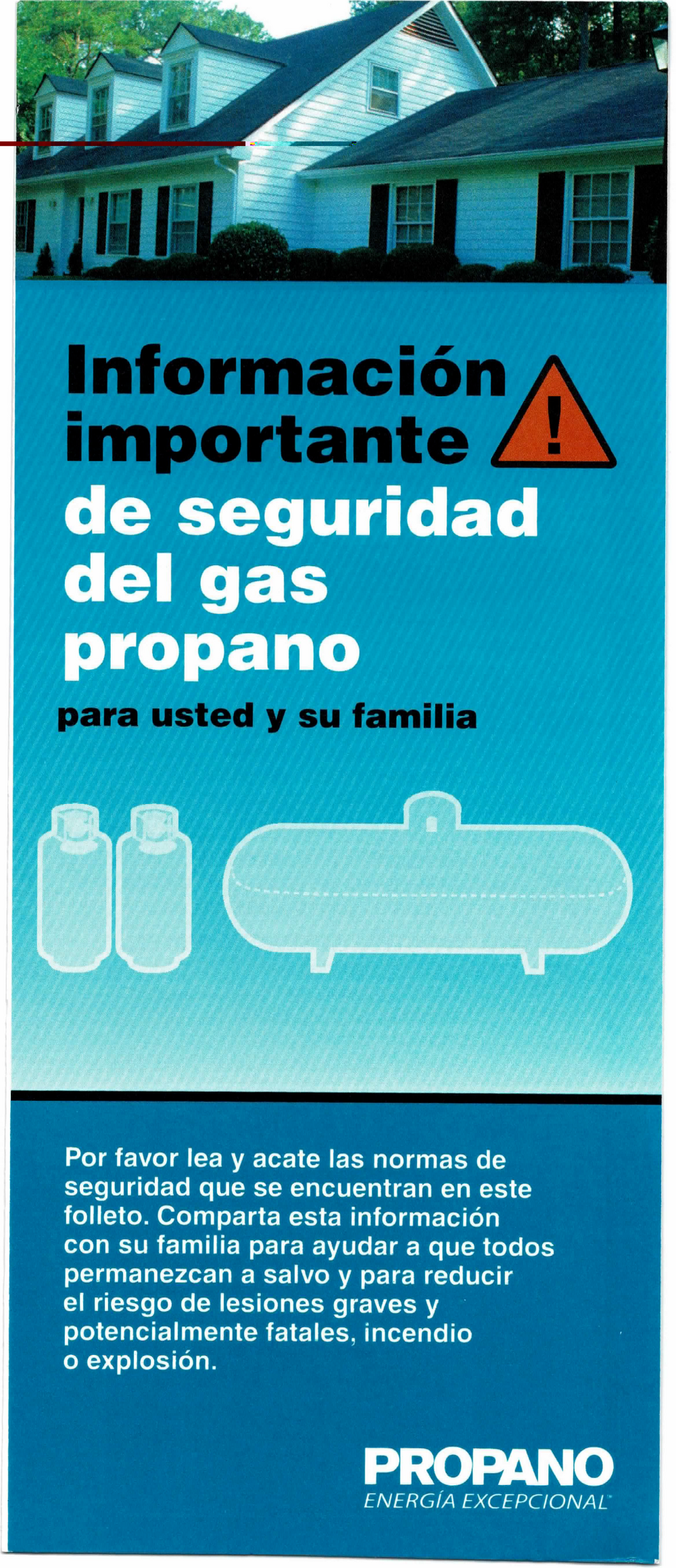 IMPORTANT PROPANE SAFETY INFORMATION FOR YOU AND YOUR FAMILY[125/pk] — PSC